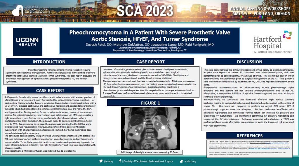 IAA Fellows and Residents Present their Research at SCA 2023 ...